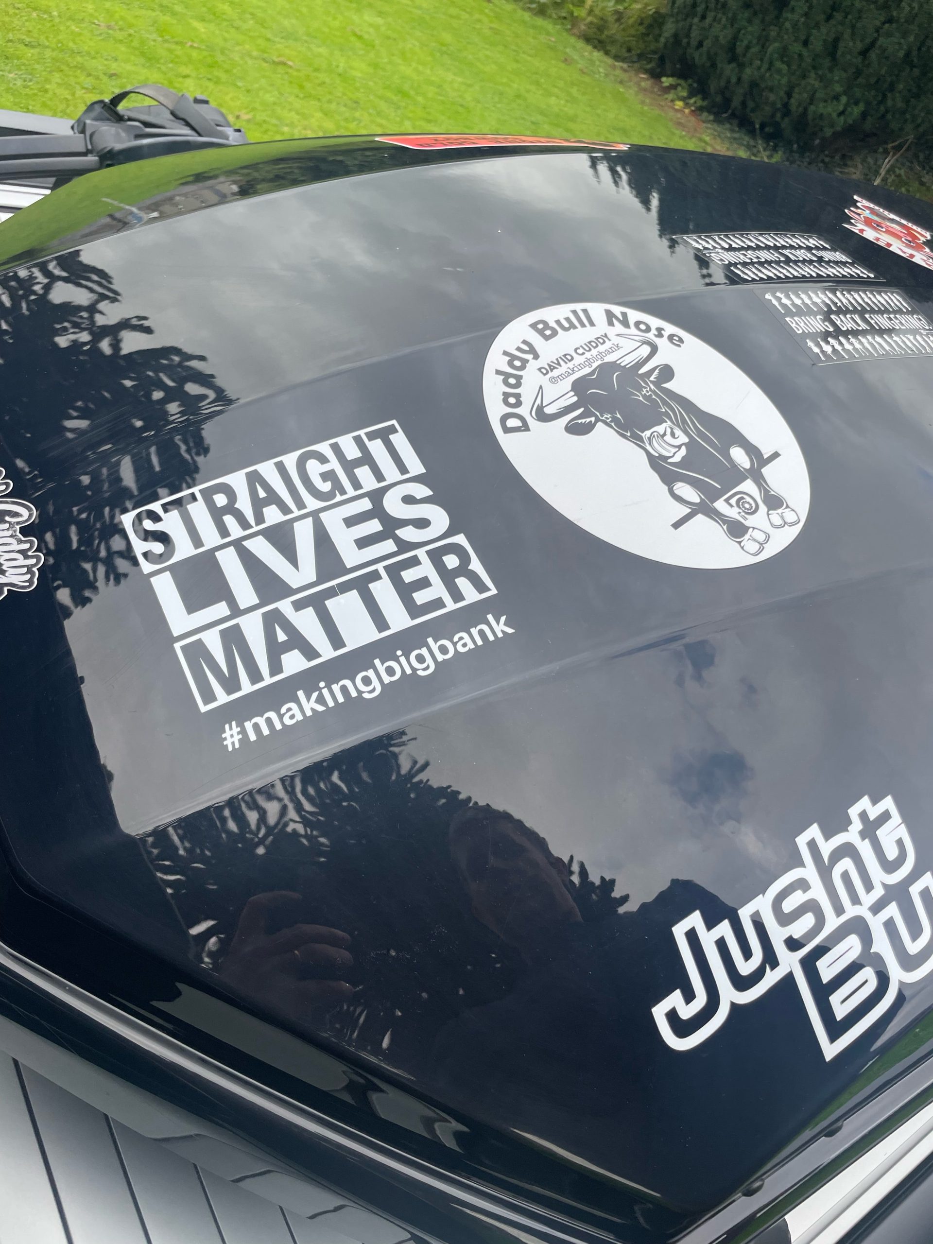 STRAIGHT LIVES MATTER DECAL - David Cuddy