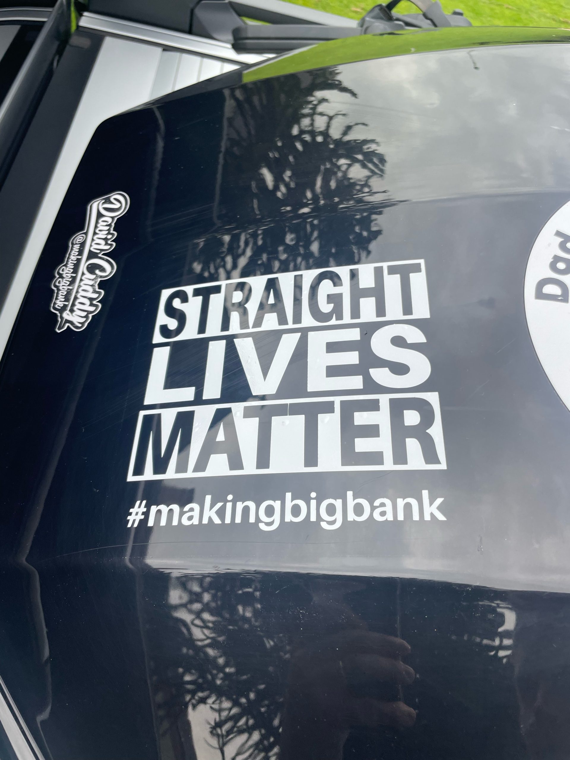 STRAIGHT LIVES MATTER DECAL - David Cuddy